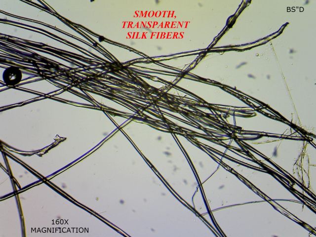 DIY Home Shatnez Lab Part 4 – How to Indentify Fabric Fibers – Chinuch ...